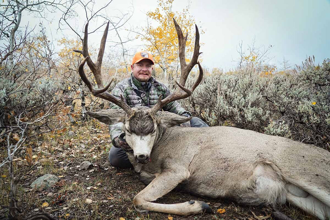 Camo Pack Cover – Kryptek