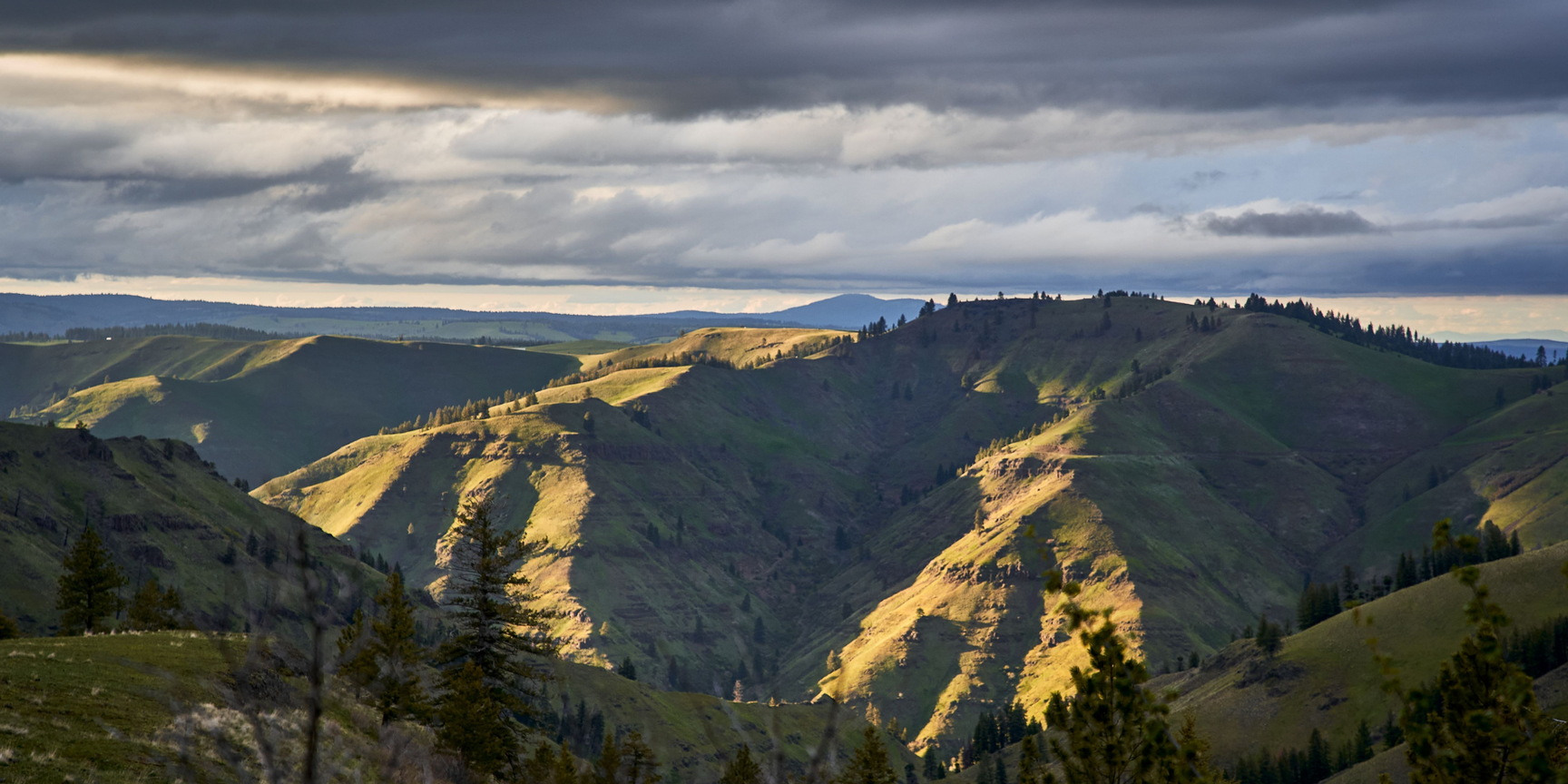 Range Bag Purchase – Kryptek