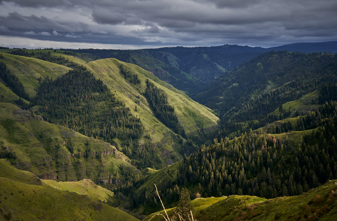 Partners – Kryptek