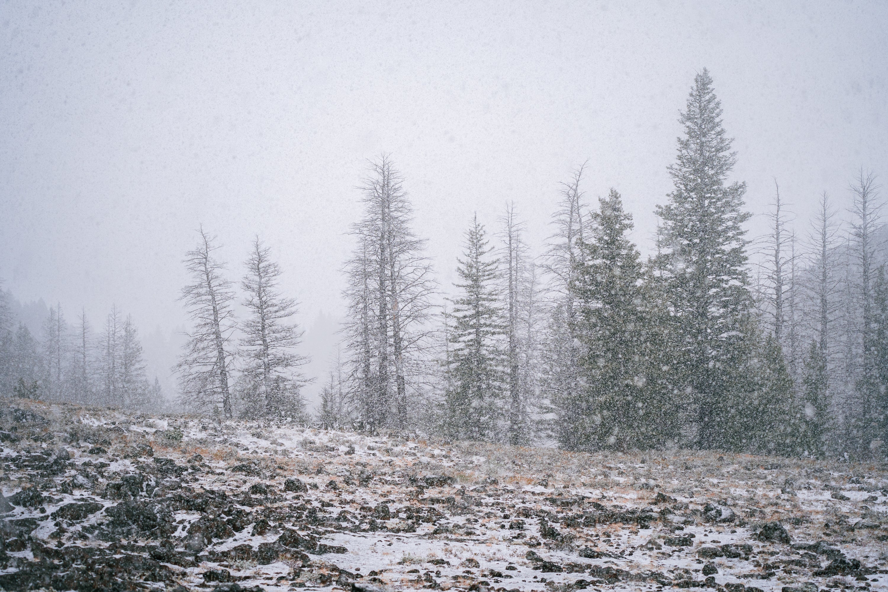 Kryptek | Tactical & Hunting Apparel