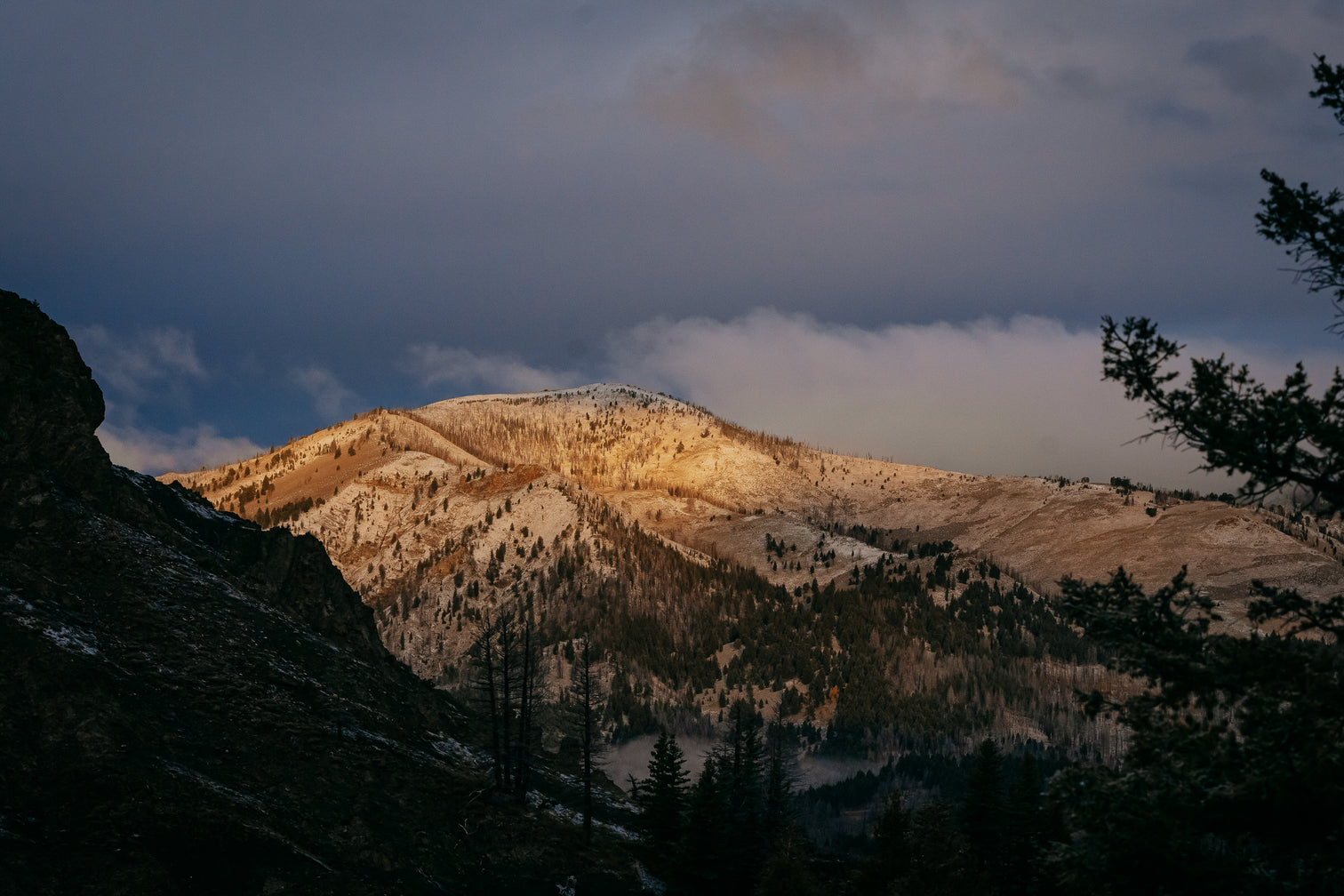 Sizing Chart – Kryptek